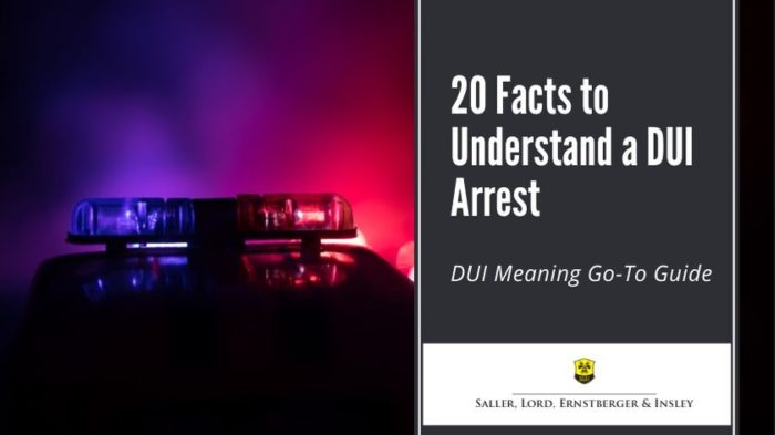 20 Facts to Understand a DUI Arrest [DUI Meaning Guide] Saller Law